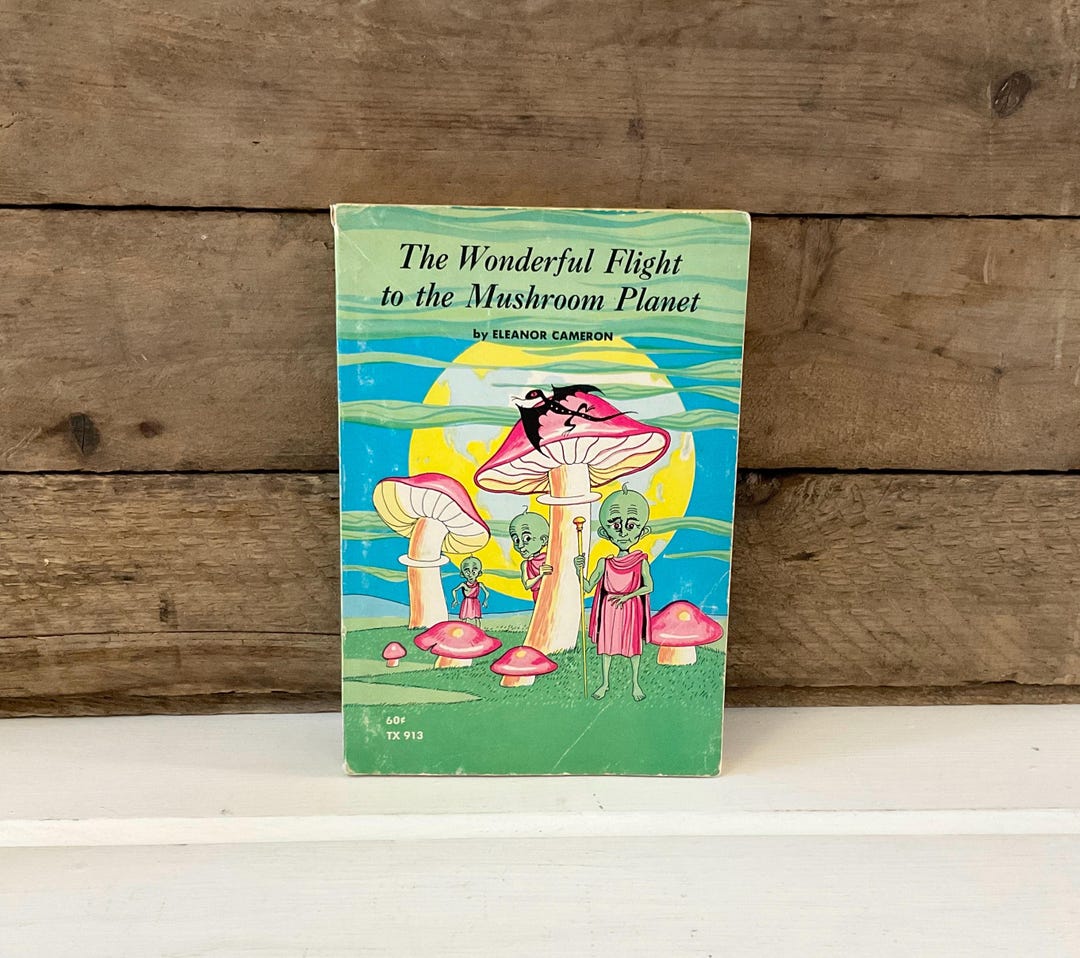 Vintage Kid’s Book the Wonderful Flight to the Mushroom Planet, Book ...