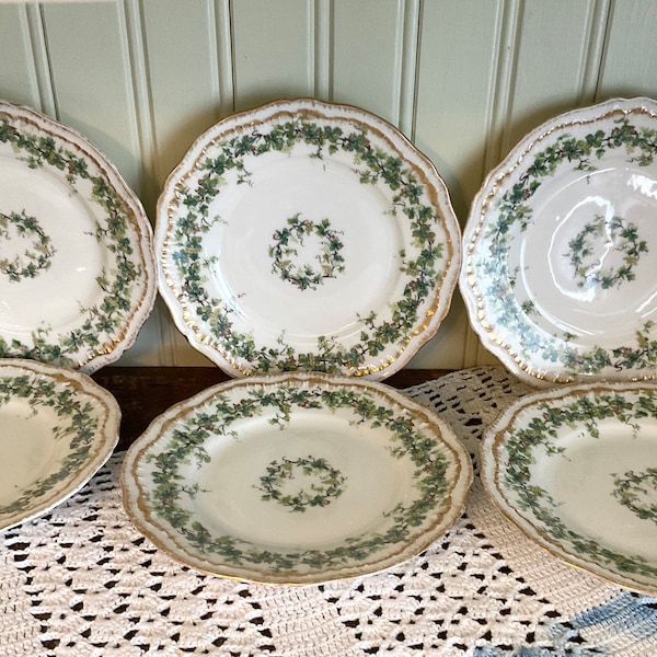 Vintage Haviland Limoge Plates - Etsy