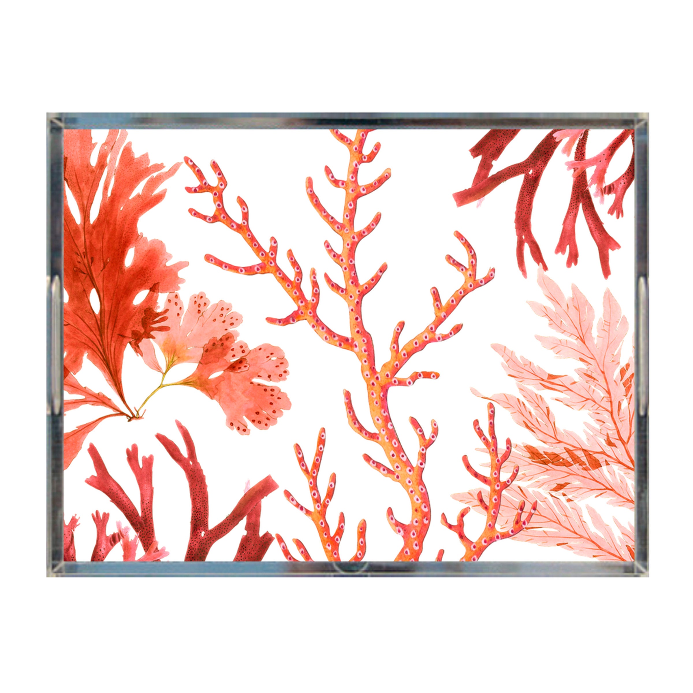 Coral Acrylic Tray 8.5 X 11 Sea Motif Tray - Etsy