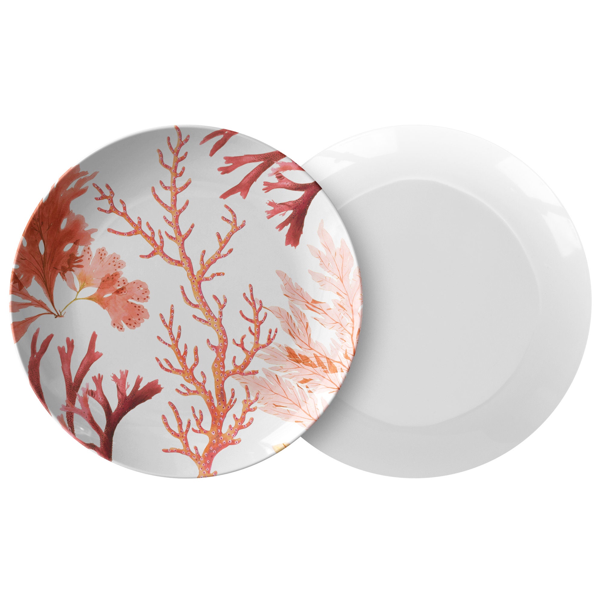 Ocean Coral Plates, Set of 4, Sea Life Dinner Plates, White, Ocean ...
