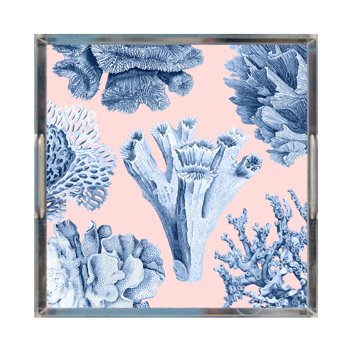 Blue Coral Reef Tray, 12 X 12, Pink, Acrylic, Ocean Sea Life Tray ...