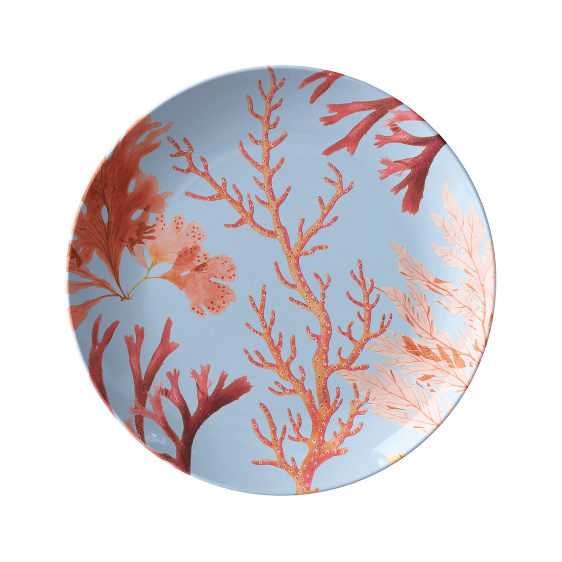 Coral Dinner Plates, Set of 4, Sky Blue, Ocean Themed Dinnerware ...