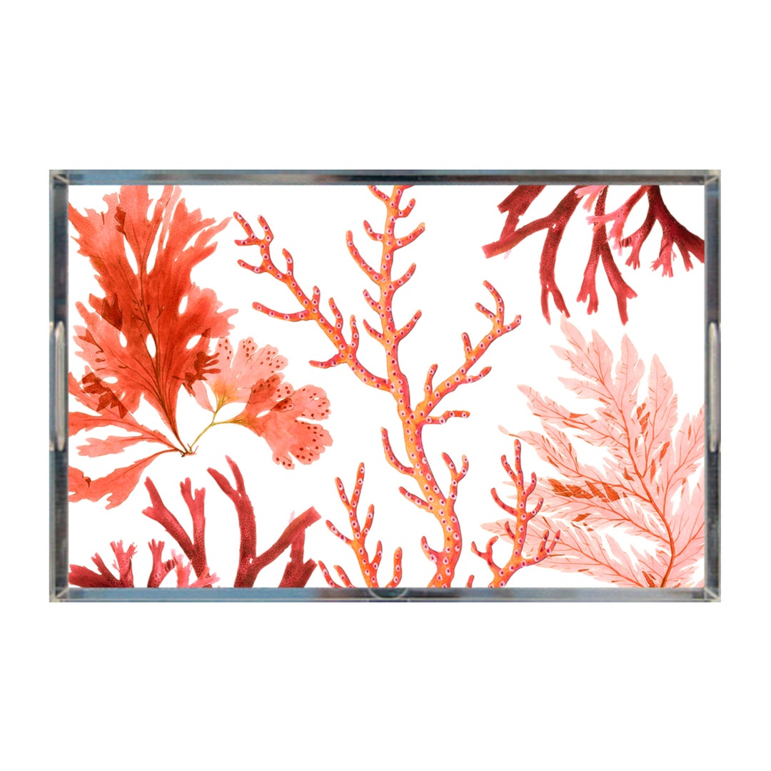 Sea Life Coral Tray, 11 X 17, White, Coral Acrylic Tray - Etsy