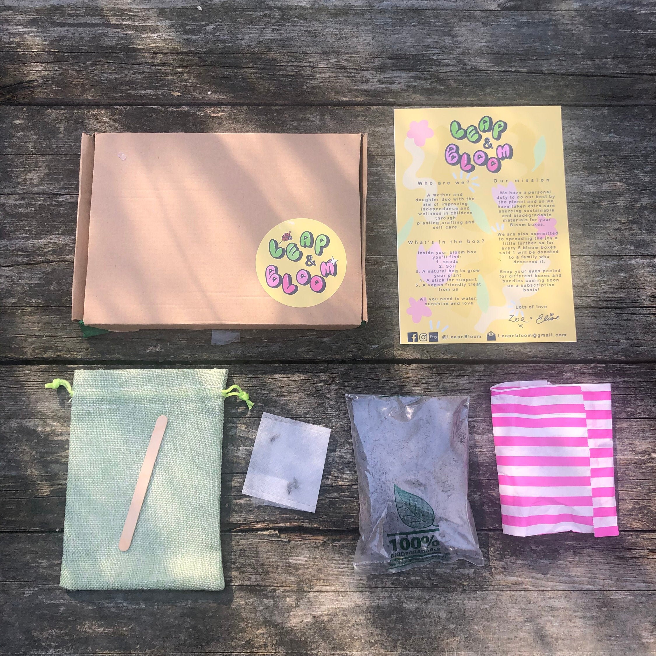 Bloom Box 1 Sunflower Grow Kit - Etsy