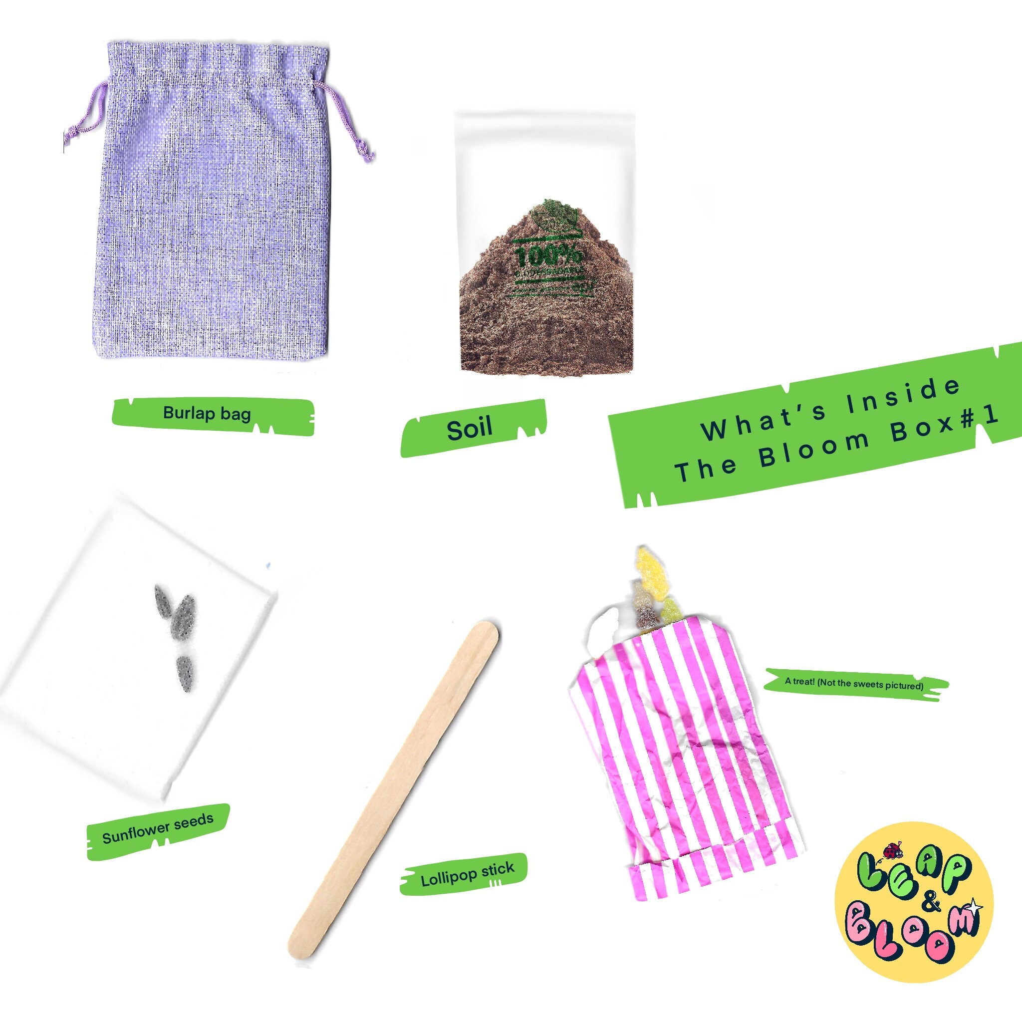 Bloom Box 1 Sunflower Grow Kit - Etsy