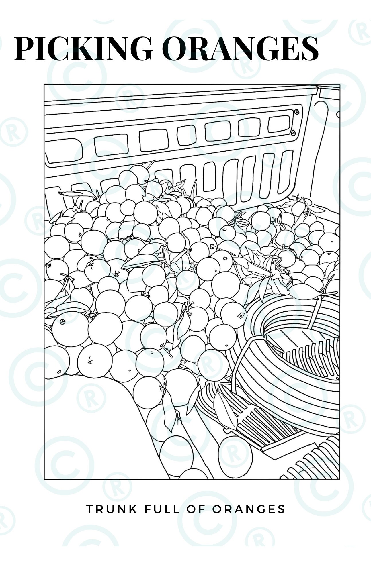Picking Oranges Coloring Page - Etsy