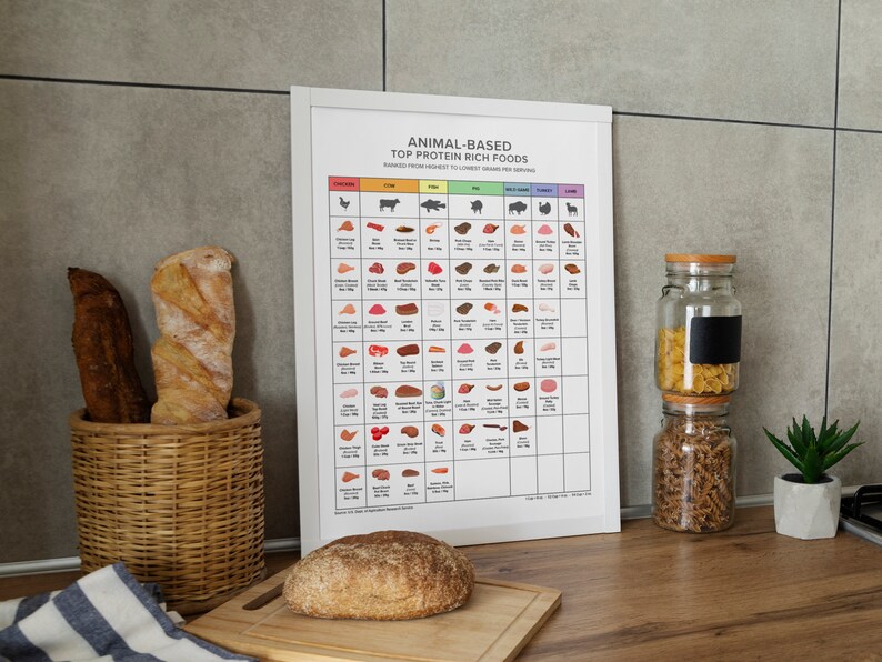 Animal Based Protein Chart, Top Protein Rich Foods, Keto Diet Meal ...