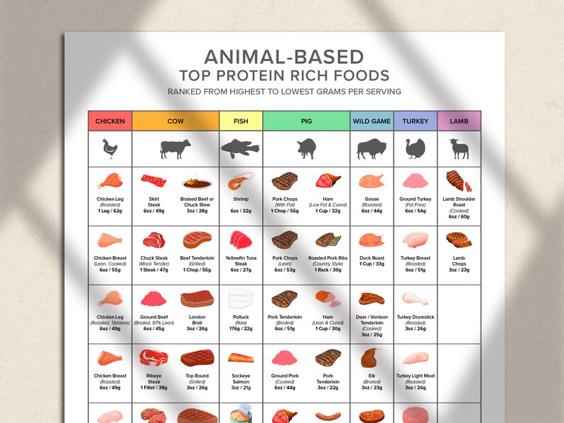 Animal Based Protein Chart, Top Protein Rich Foods, Keto Diet Meal ...