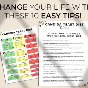 Candida Yeast Diet Essentials: Your Comprehensive Food Chart, Low Carb ...