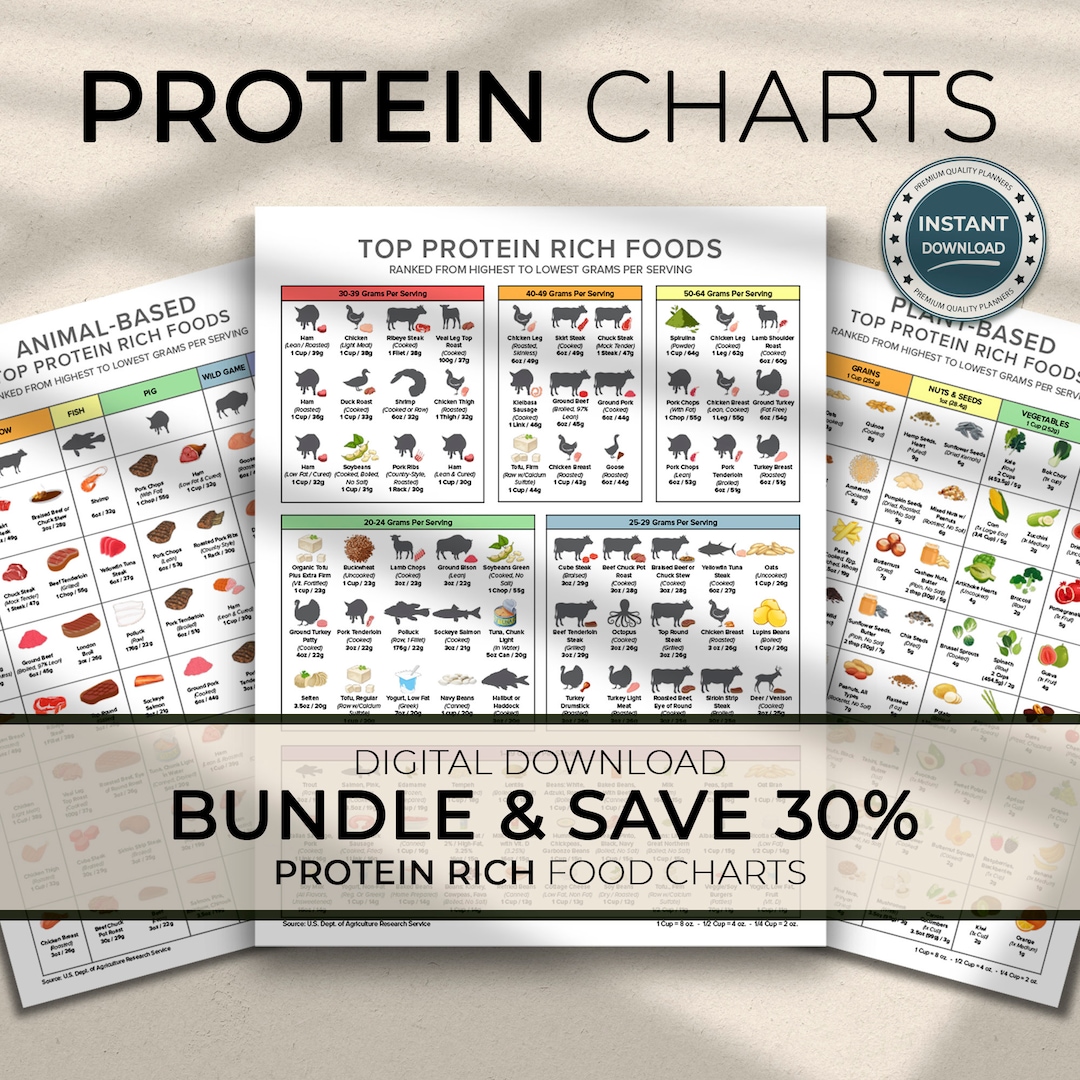 Protein Chart Bundle, Top Protein Rich Foods, Keto Diet Meal Planning, Protein per Serving, High ...