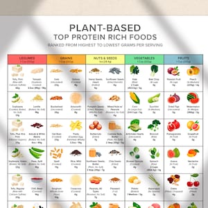 Plant Based Protein Chart, Top Protein Rich Foods, Keto Diet Meal Planning, Protein per Serving ...