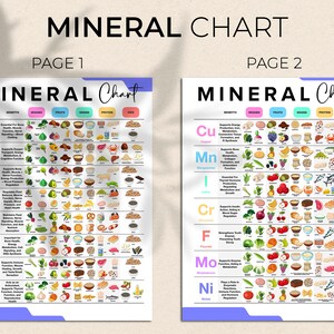 Vitamin and Mineral Charts Bundle, Your Ultimate Nutritional Guide ...