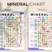 Vitamin and Mineral Charts Bundle, Your Ultimate Nutritional Guide ...
