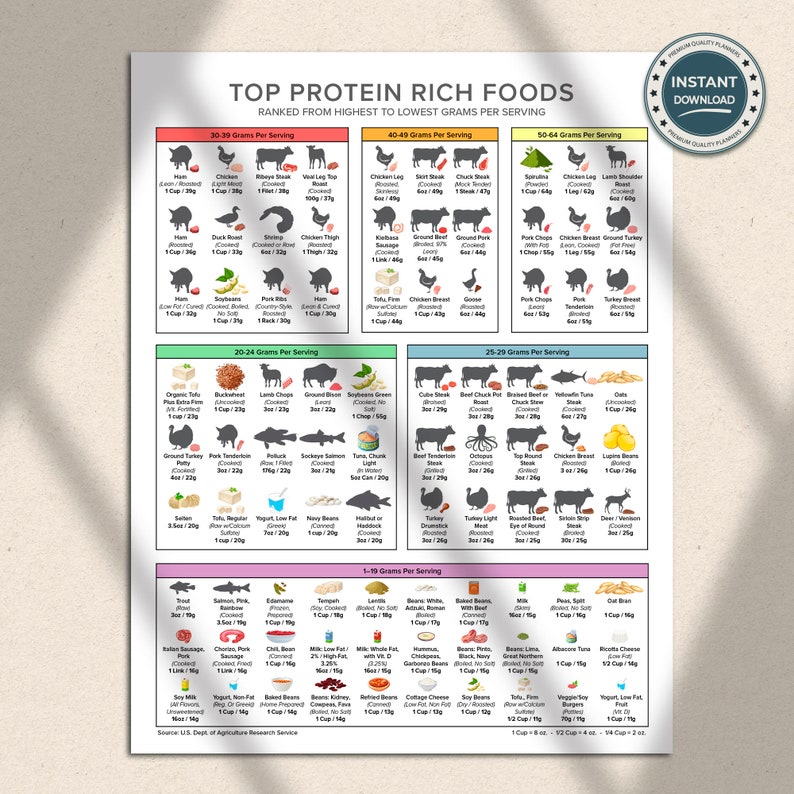 Protein Tabelle: Die besten Proteinreichen Lebensmittel für die Keto-Diät Mahlzeitenplanung ...