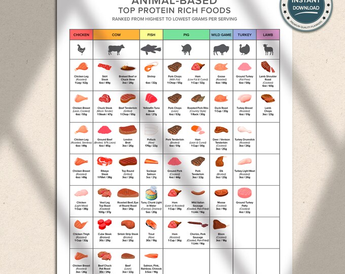 Animal Based Protein Chart, Top Protein Rich Foods, Keto Diet Meal ...