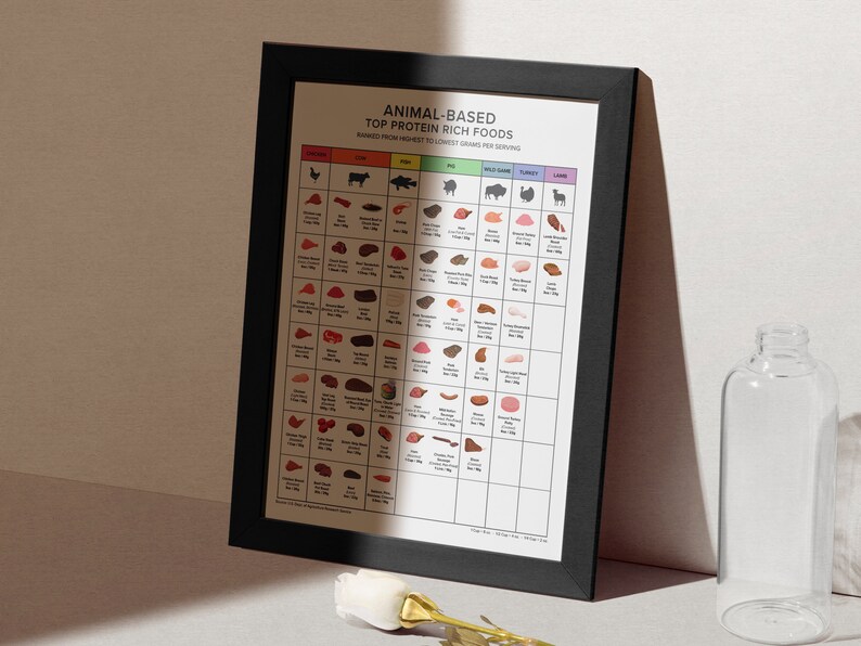 Animal Based Protein Chart, Top Protein Rich Foods, Keto Diet Meal ...