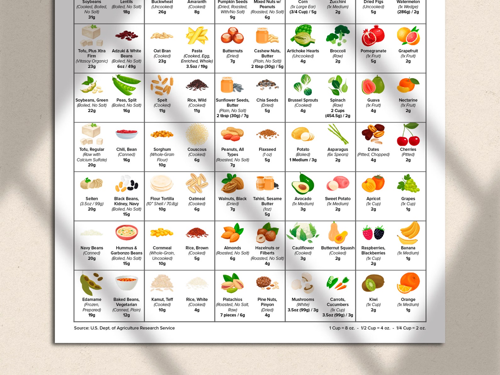 Plant Based Protein Chart, Top Protein Rich Foods, Keto Diet Meal ...