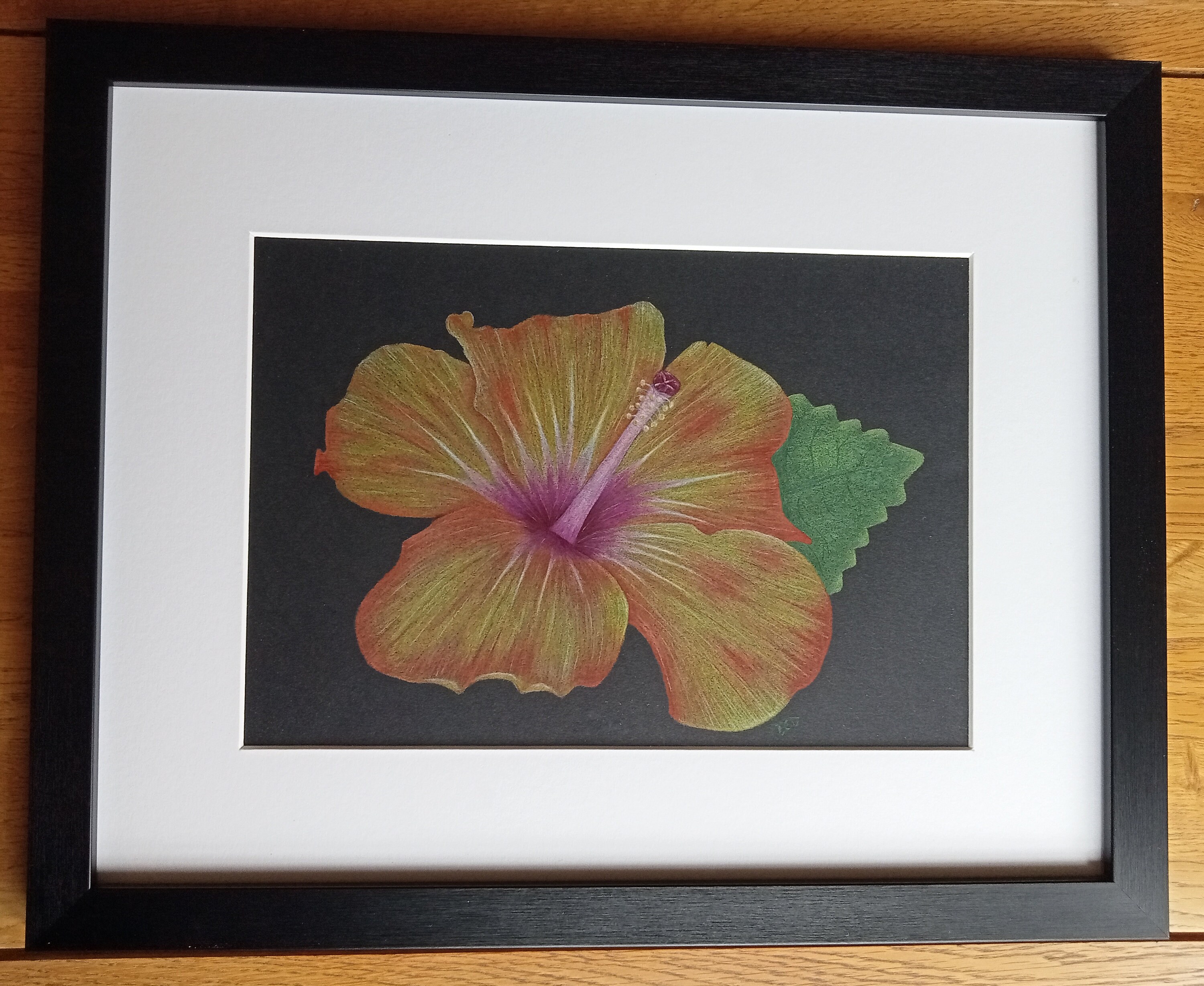 Hibiscus Flower Drawing - Etsy