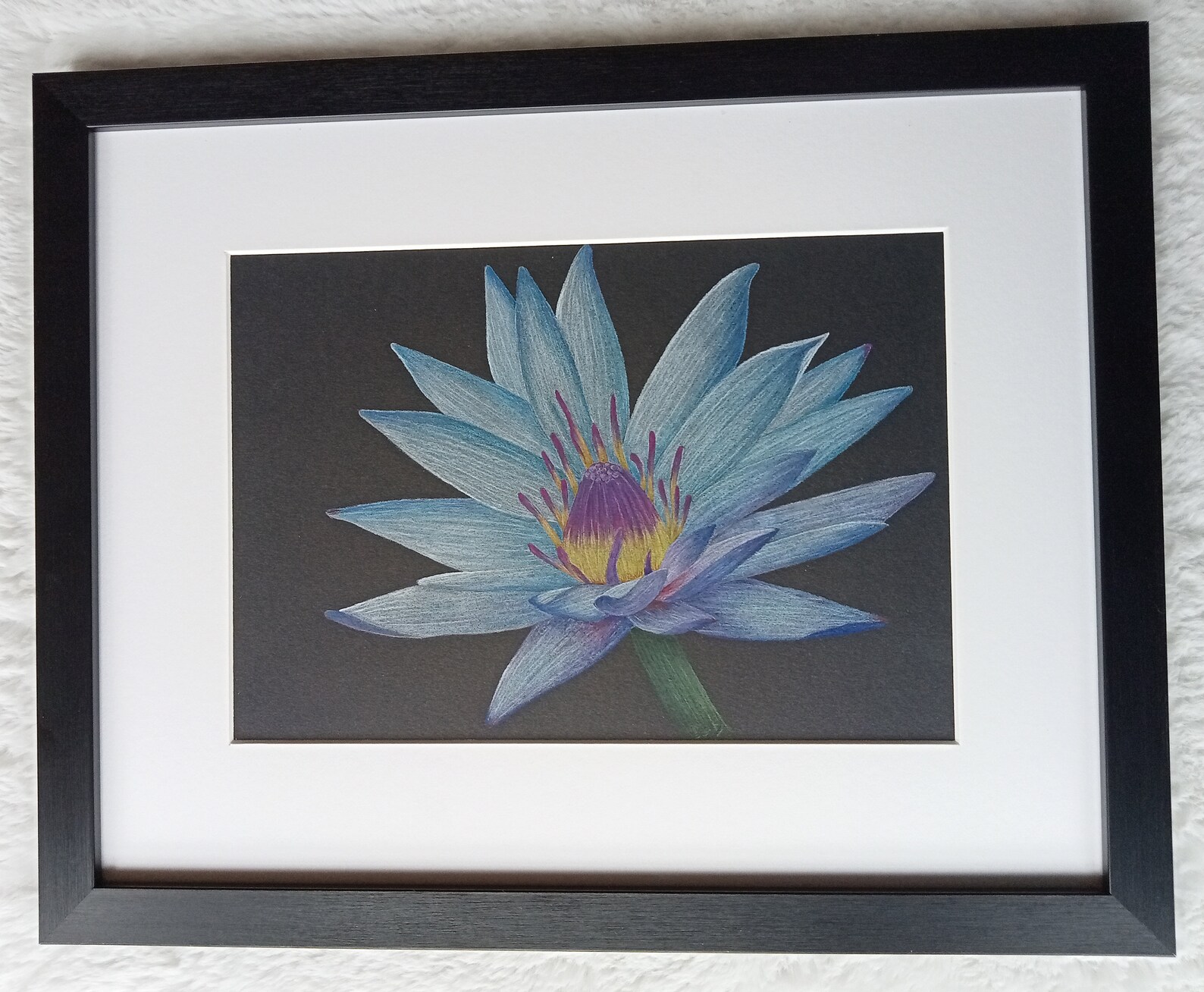 Blue Water Lily Flower Drawing - Etsy