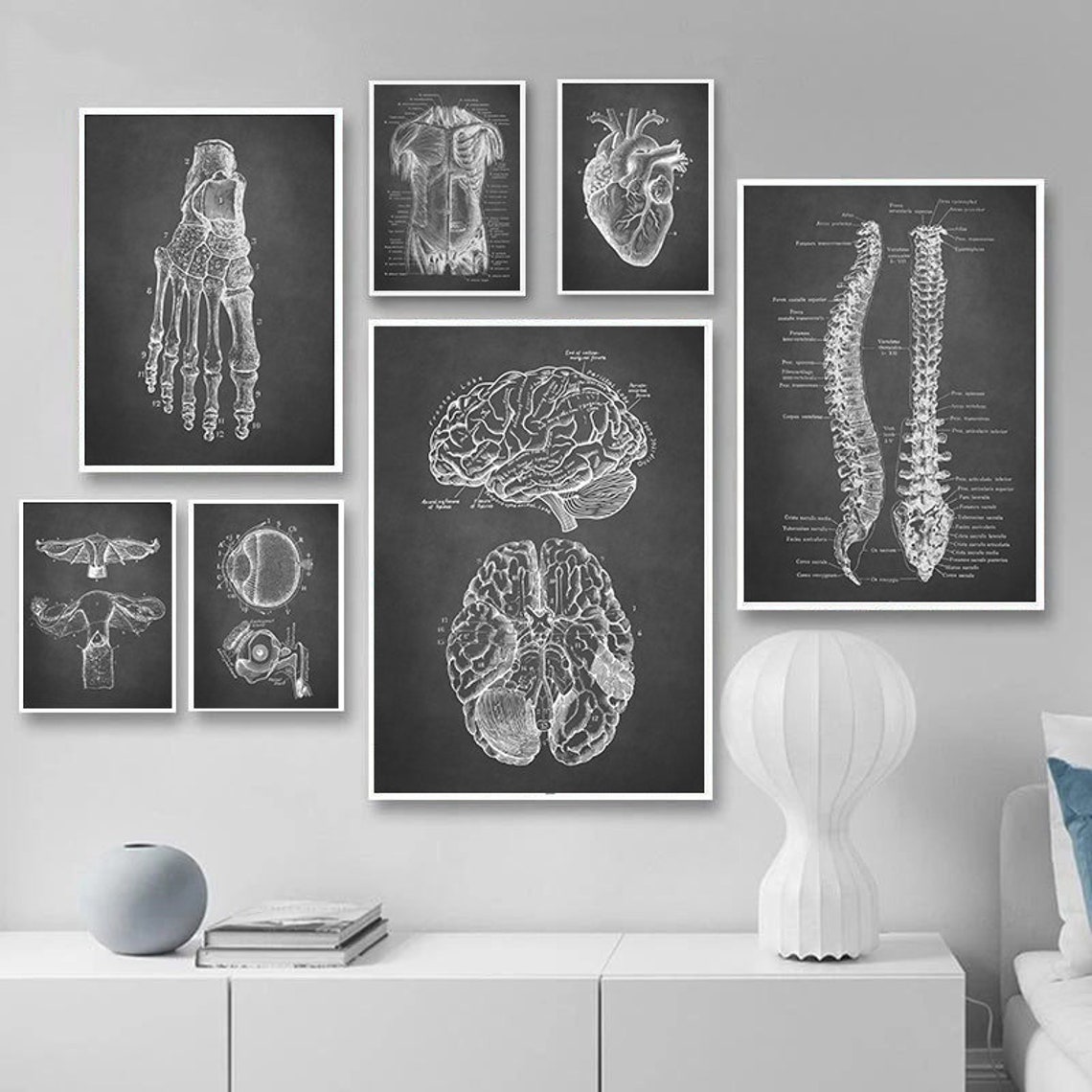 Human Anatomy Artworks Medical Wall Pictures Muscle - Etsy