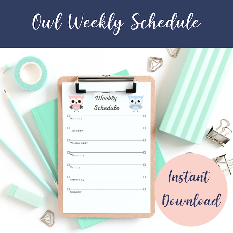 This Week's Schedule, Weekly Owl Printable Planner, Fillable PDF - Etsy