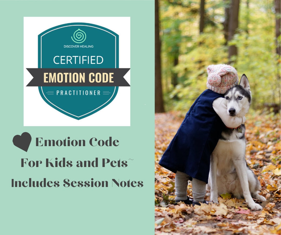 Emotion Code Session for Kids and Pets - Etsy
