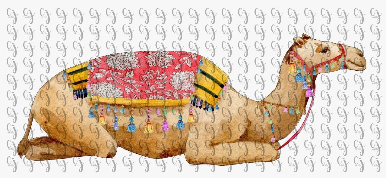 Sitting Camel Drawing