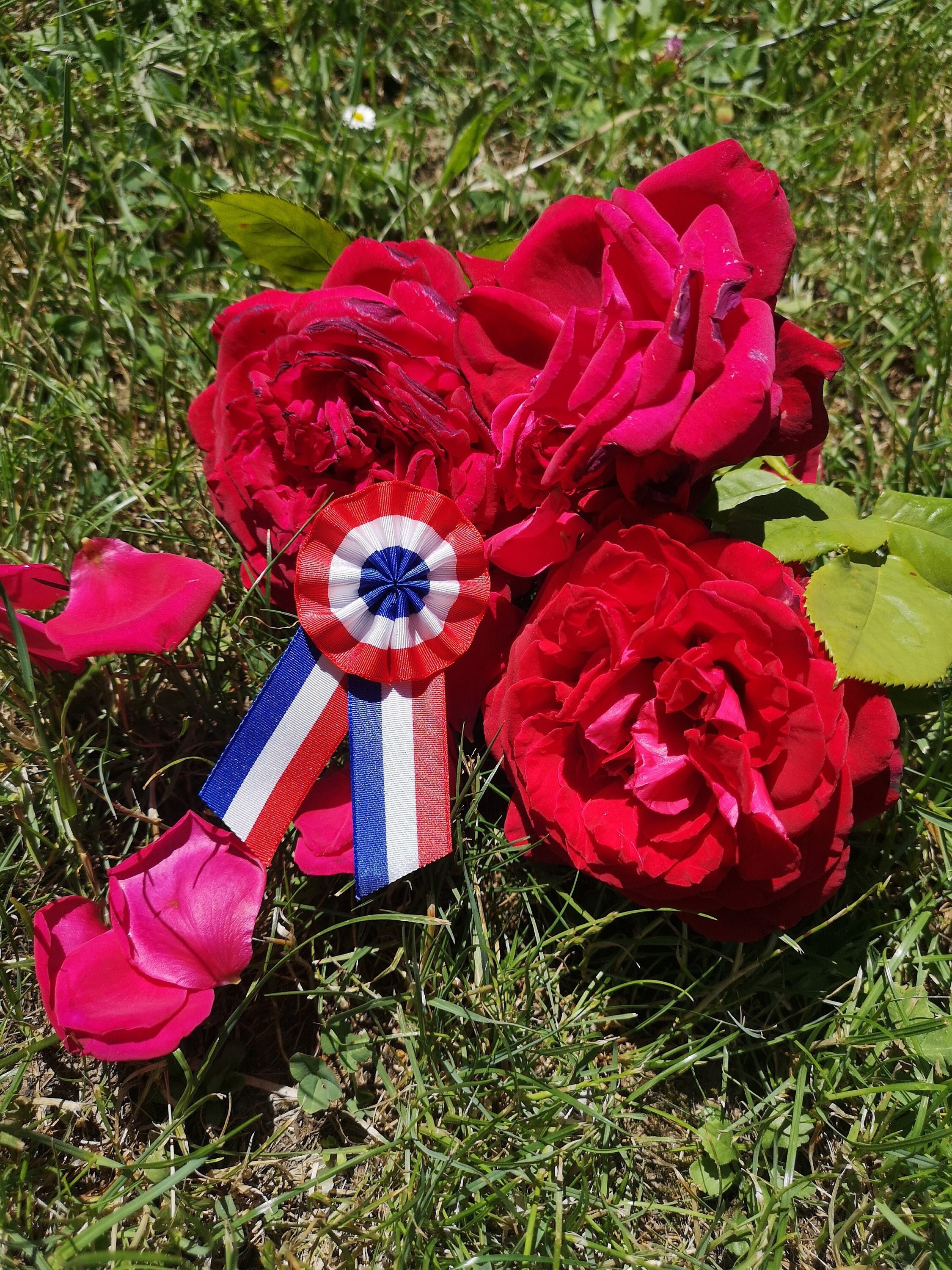 Tricolor French Revolution Cockade kokarde / Coccarda / Rosette ...