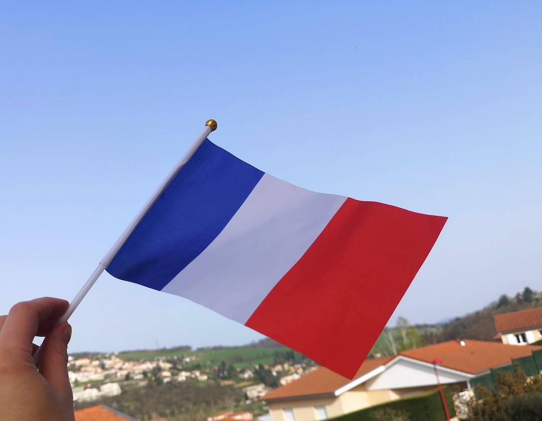 Lot of 10 Tricolor French Flags JO 2024 World Cup National Day July 14 ...