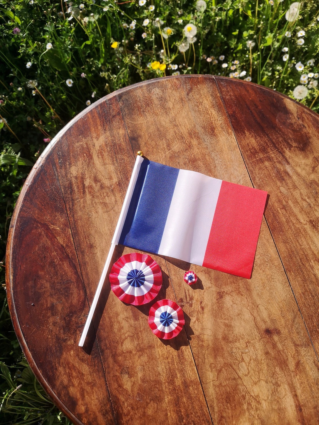 French Pin + France Flag - Made in France (french Revolution Tricolor ...