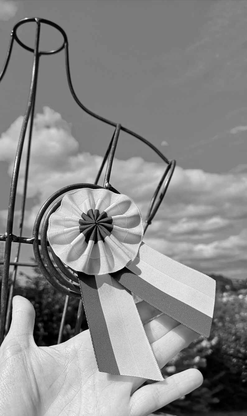 French Pin, Tricolor Cockade of the French Revolution (8x15cm) - Made ...
