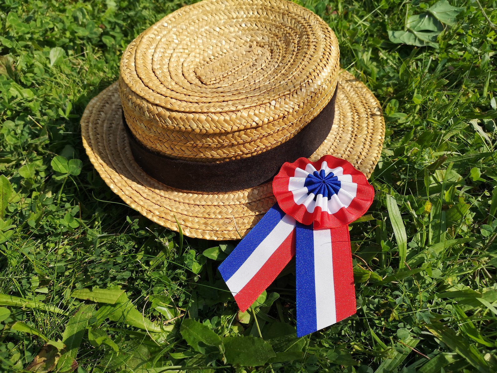 2 French Revolution Tricolor Cockades medium & Large | Etsy