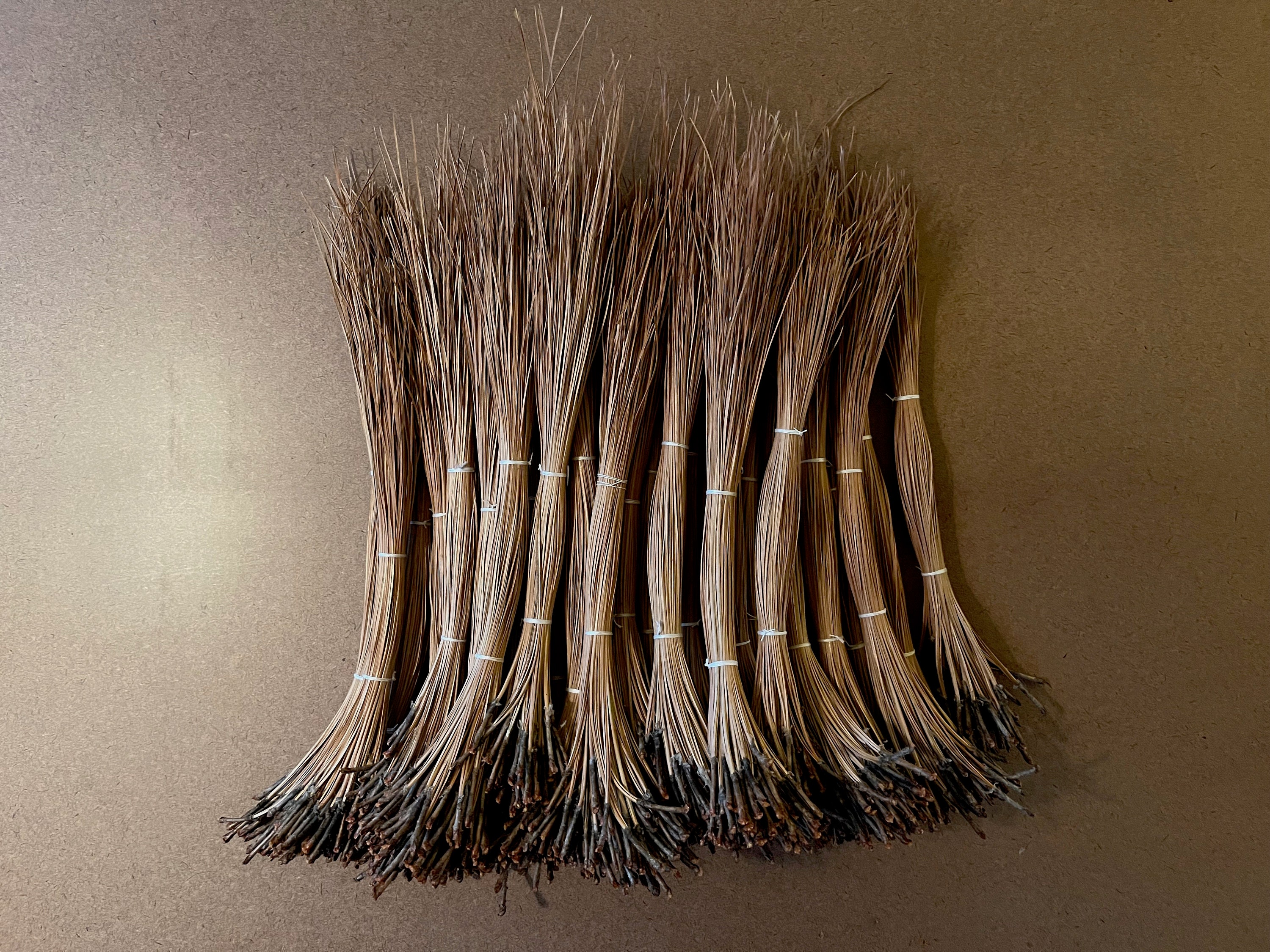 Long Leaf Pine Needles 10 to 14 Inches Long - Etsy