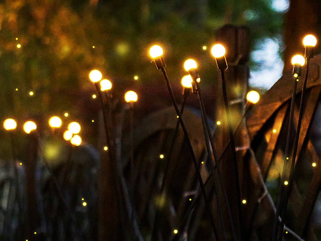 Firefly Outdoor Garden Fairy Lights, Solar Powered Lights, Waterproof ...