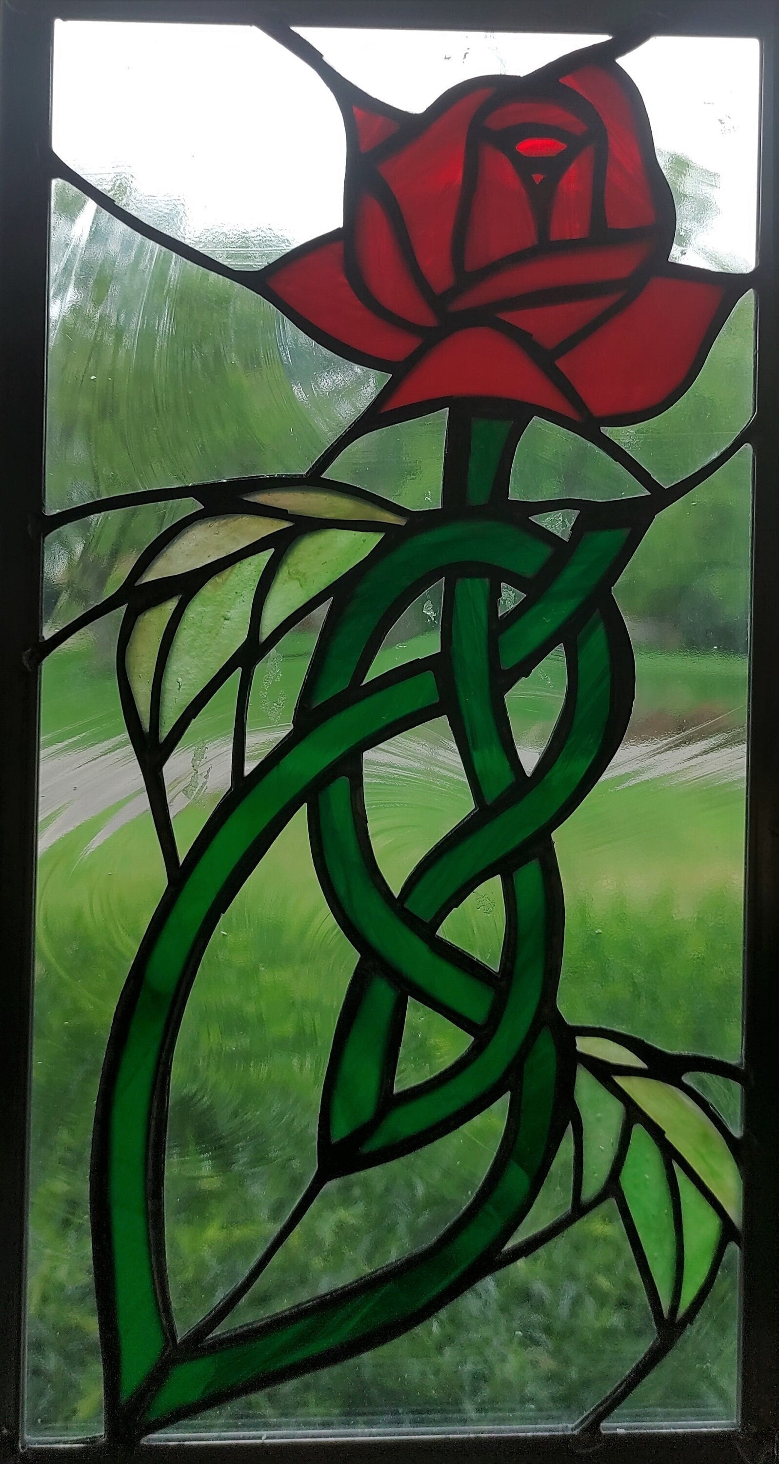 Wild Irish Rose - Etsy