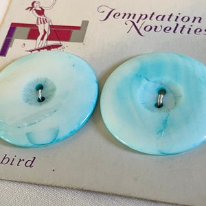 Large Dyed MOP Buttons on Vintage Bluebird Card - Etsy