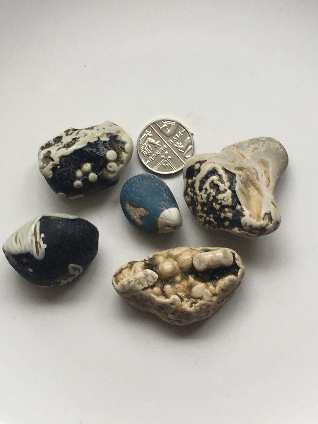 Rare Dragon Glass/tooth Pieces - Etsy