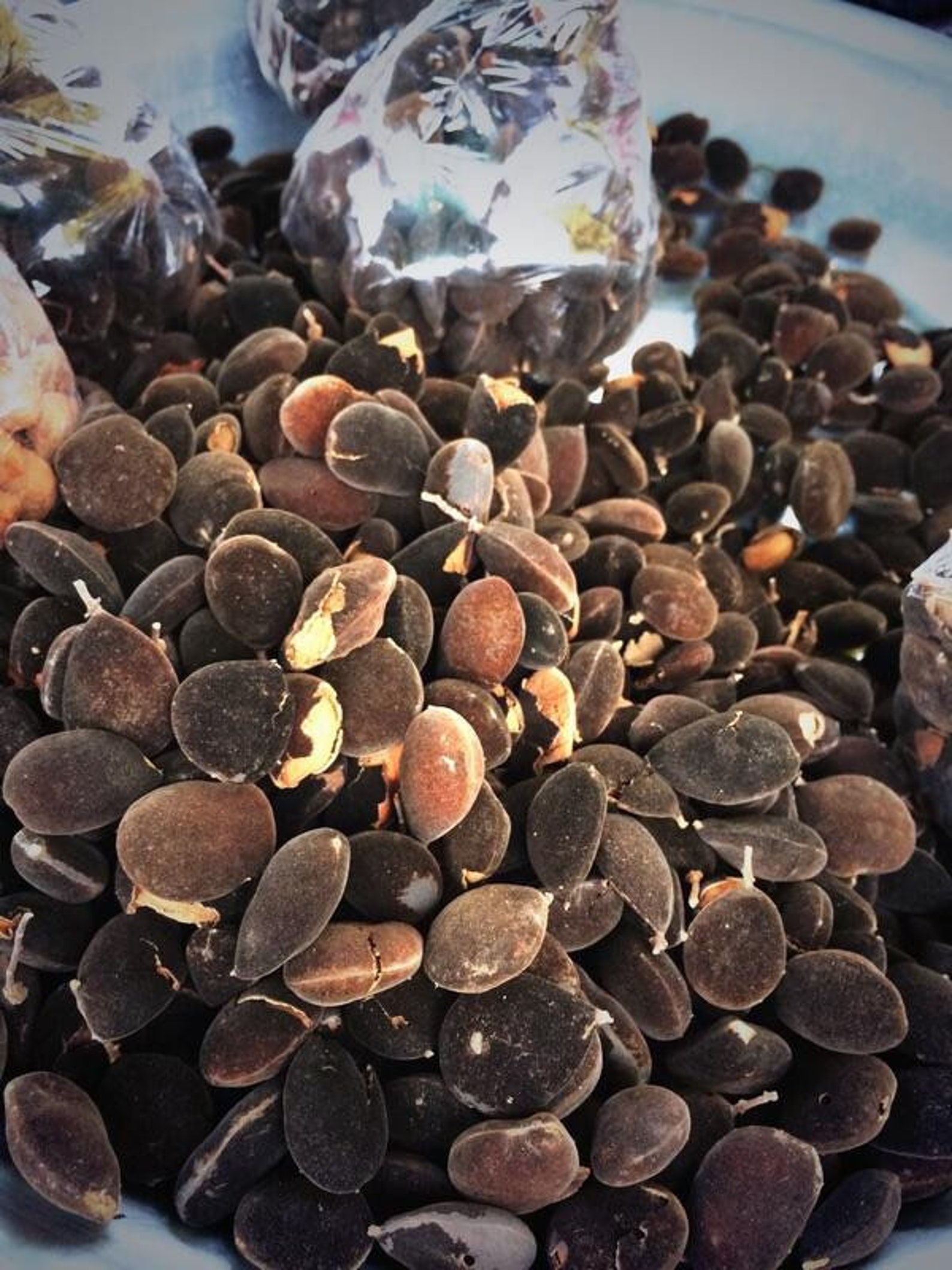 200 Fruits of Tamarind Fruitsyooyiblack Velvet Tamarind-dialium ...
