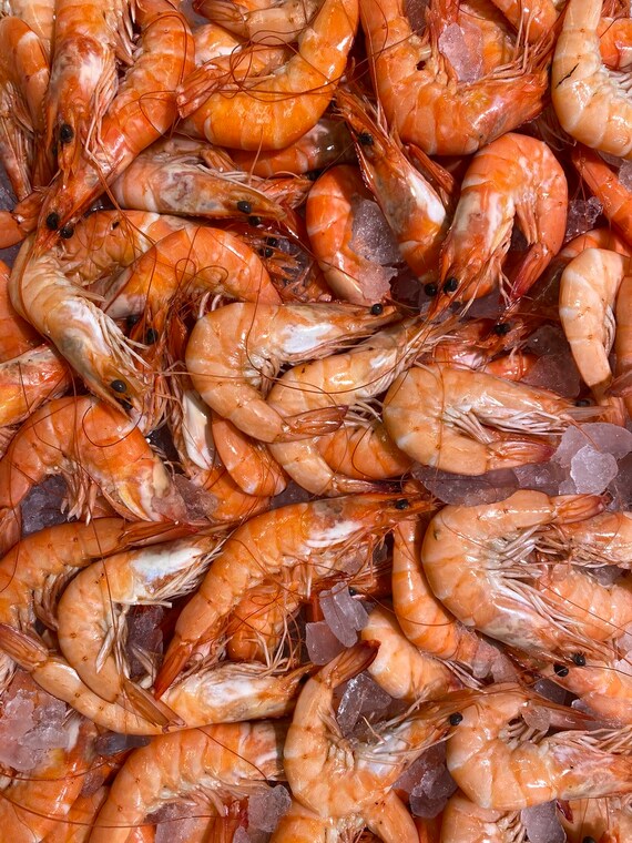 Crevettes Fraîches