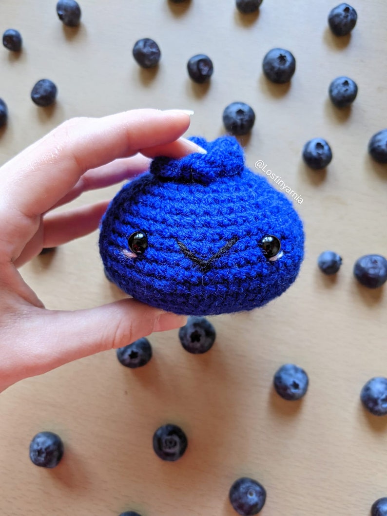 Amigurumi Pattern Two Sizes Cute Crochet Blueberry Fruit - Etsy