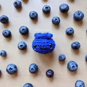 Amigurumi Pattern Two Sizes Cute Crochet Blueberry Fruit Friend PDF ...