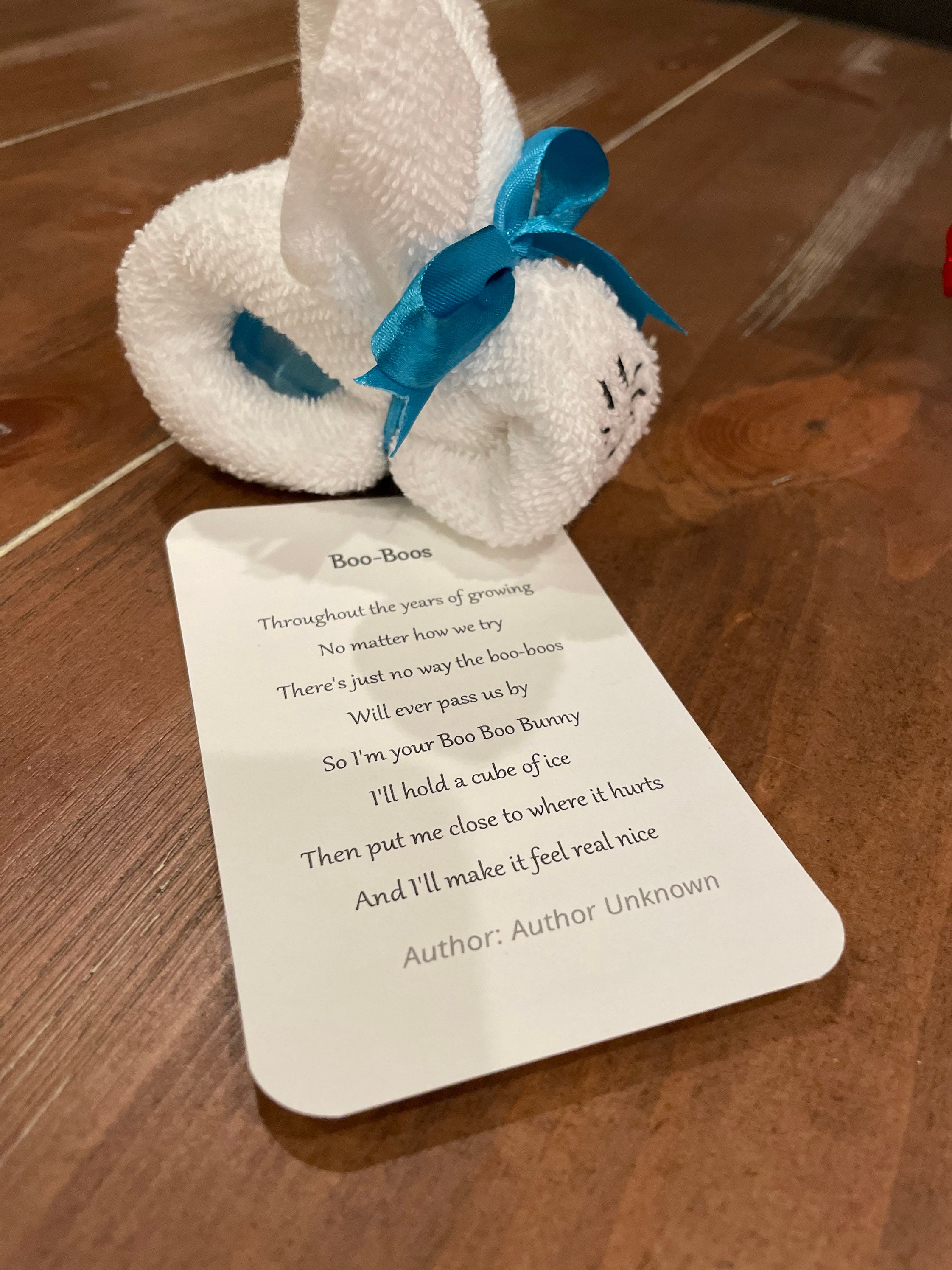 Personalized Boo-boo Bunny, Embroidered Washcloth With Reusable Ice ...