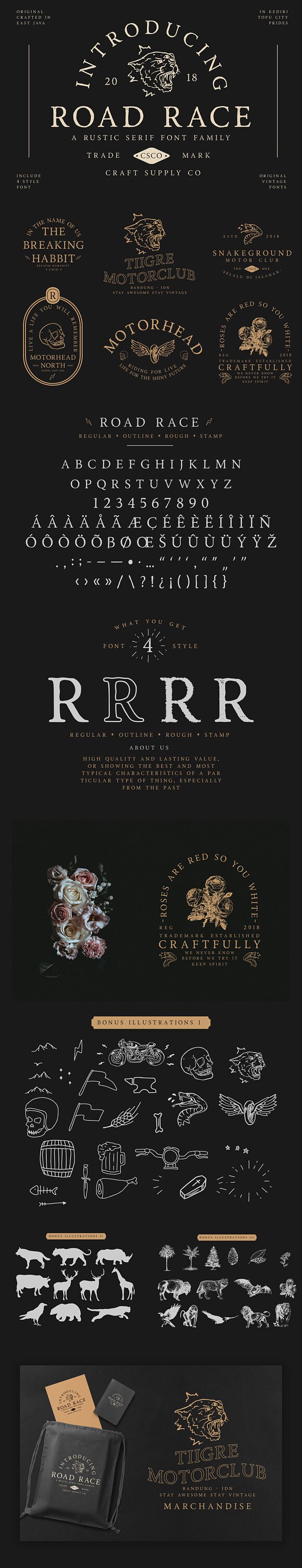 Road Race Font Family Extras, Procreate Font, Cricut Font, Silhouette ...