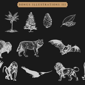 Road Race Font Family Extras Procreate Font Cricut Font | Etsy