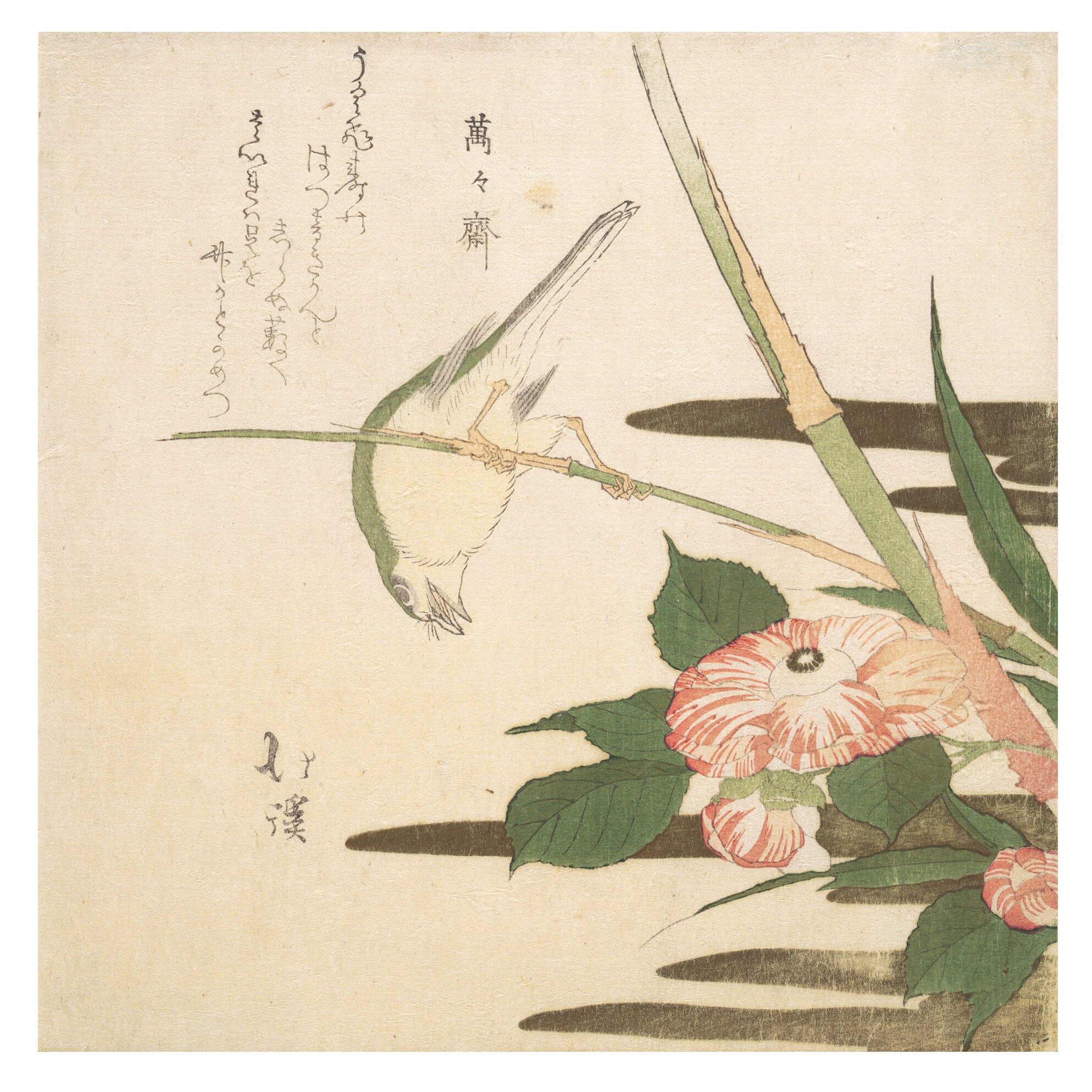 Square Japanese Fine Art Print of a Bird, Flower, and Haiku Poem ...