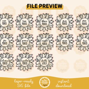 Sunflower Milestone Set SVG File, Baby Milestone Set SVG, Baby Monthly ...