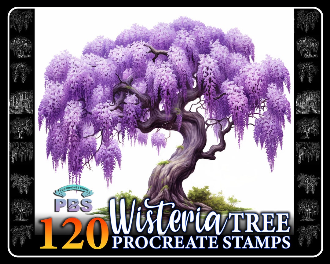 120 Procreate Wisteria Tree Stamps, Wisteria Floral Stamps for ...
