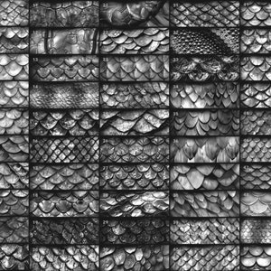 100 Procreate Scale Texture, Scale Texture for Procreate, Scale Texture Brushes, Scale Texture ...