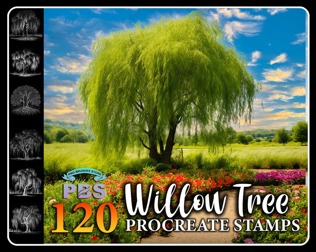 120 Procreate Willow Tree Stamps, Willow Tree Brush for Procreate ...