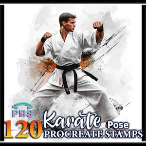 120 Procreate Karate Poses Stamp, Karate Stamp for Procreate, Taekwondo ...
